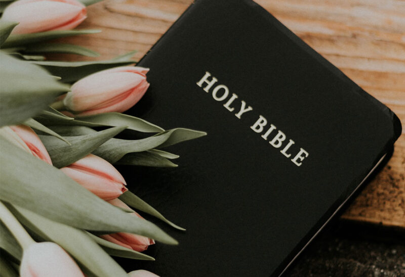 What We Believe – Timothy Lutheran Ministries
